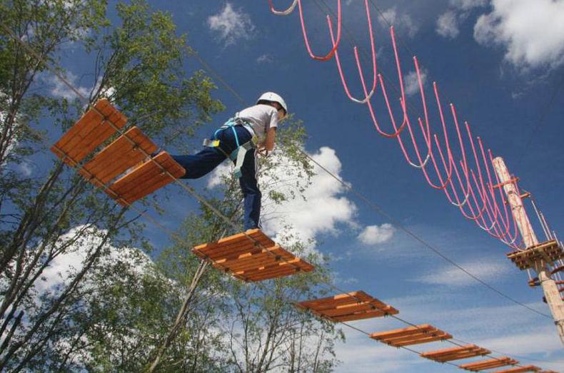 Parki linowe - świetny sposób na aktywny wypoczynek!